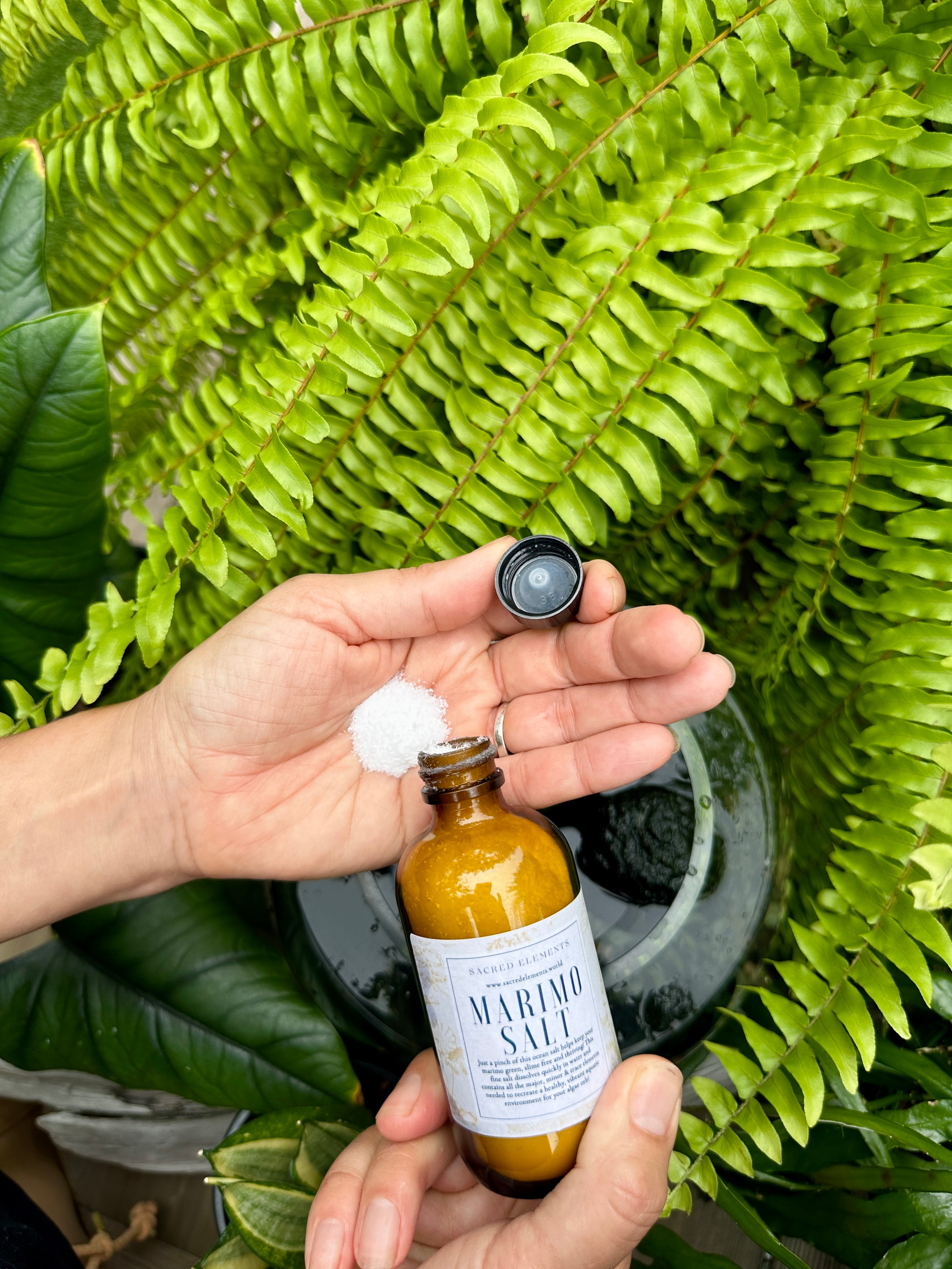 Marimo Salt – Sacred Elements