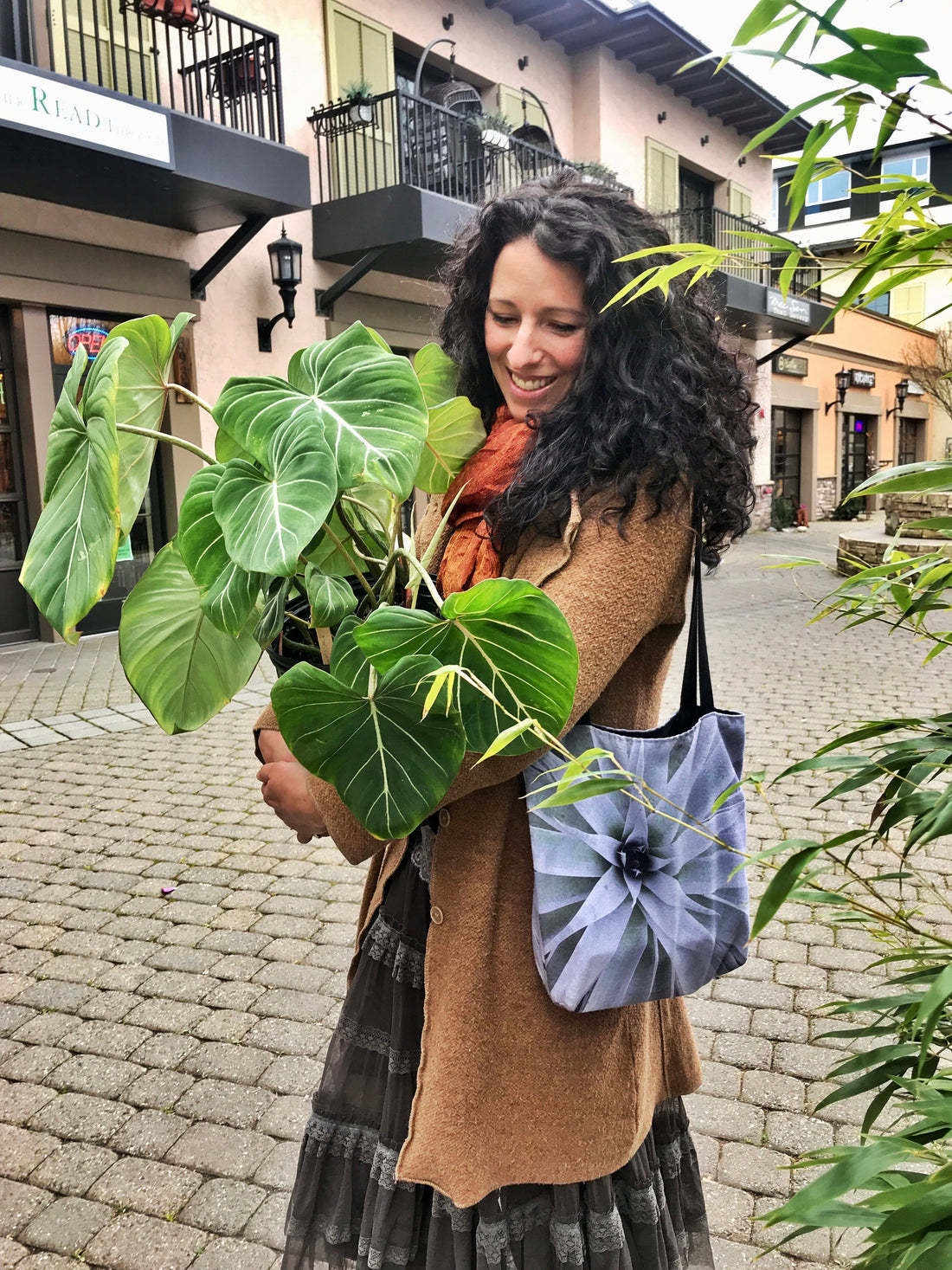 What Is My Plant Parent Personality? Take the Quiz! – Sacred Elements