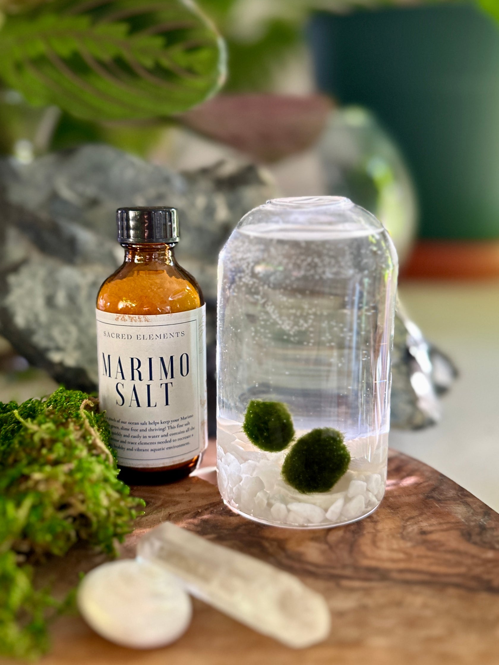 Marimo Salt – Sacred Elements
