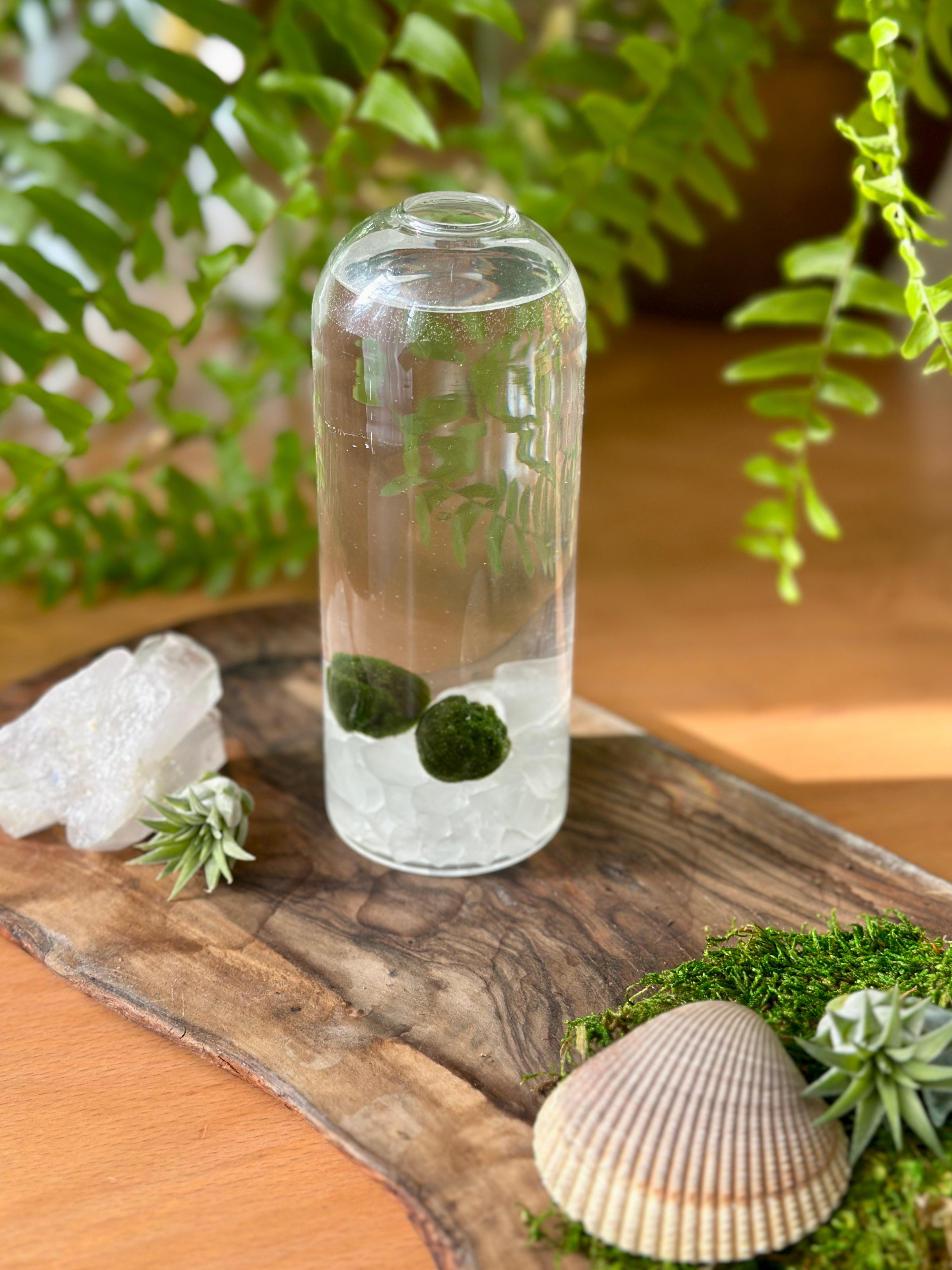 Marimo – Sacred Elements
