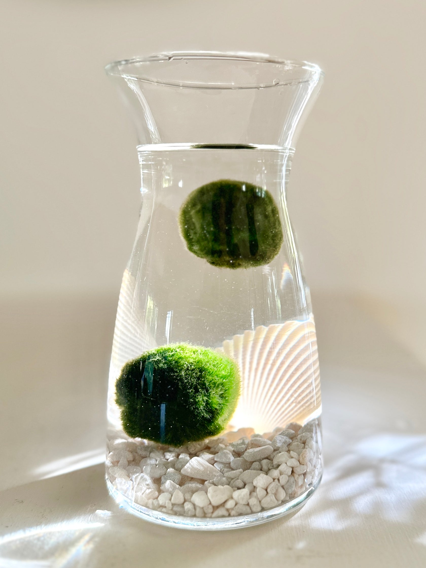 Marimo – Sacred Elements