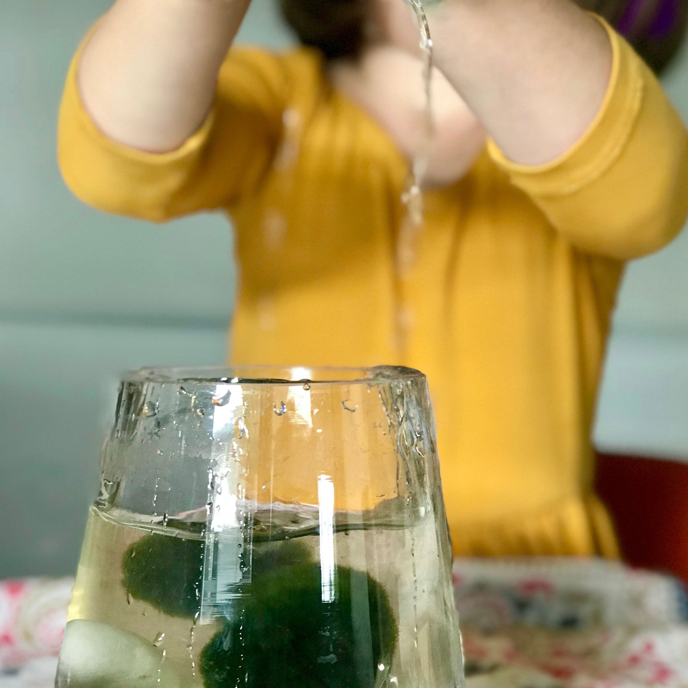 Marimo – Sacred Elements