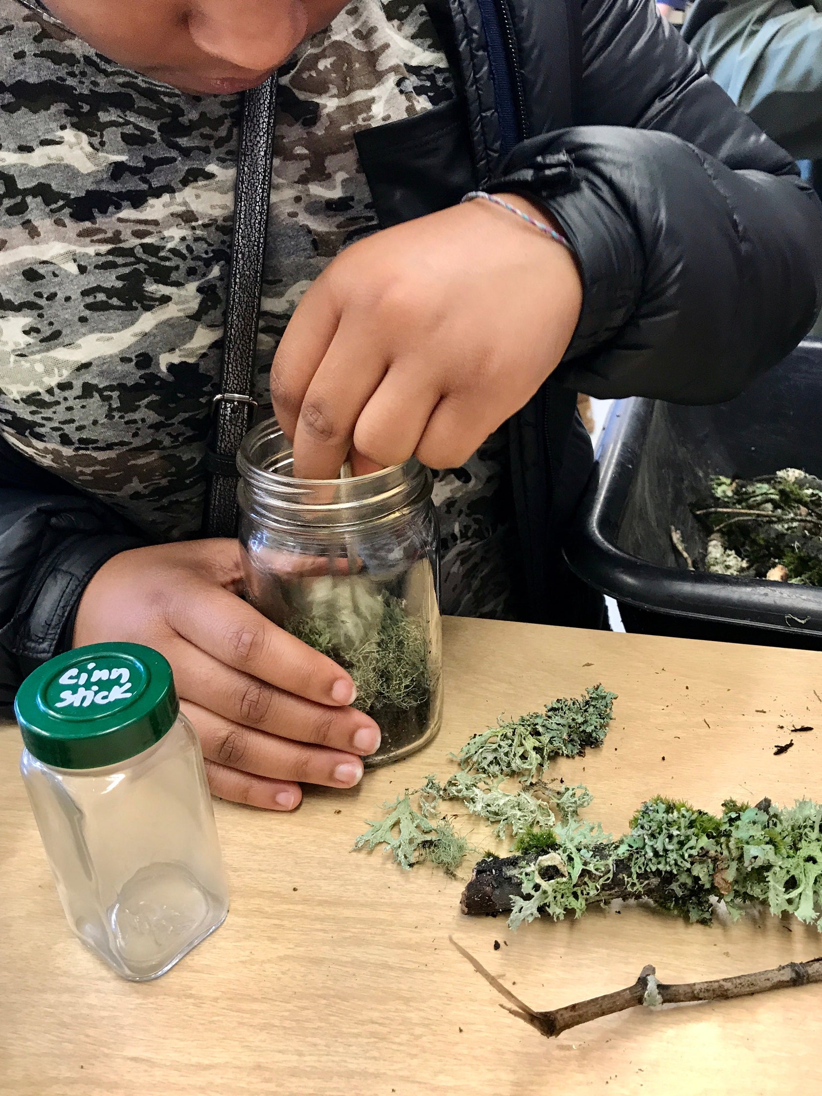 Marimo – Sacred Elements