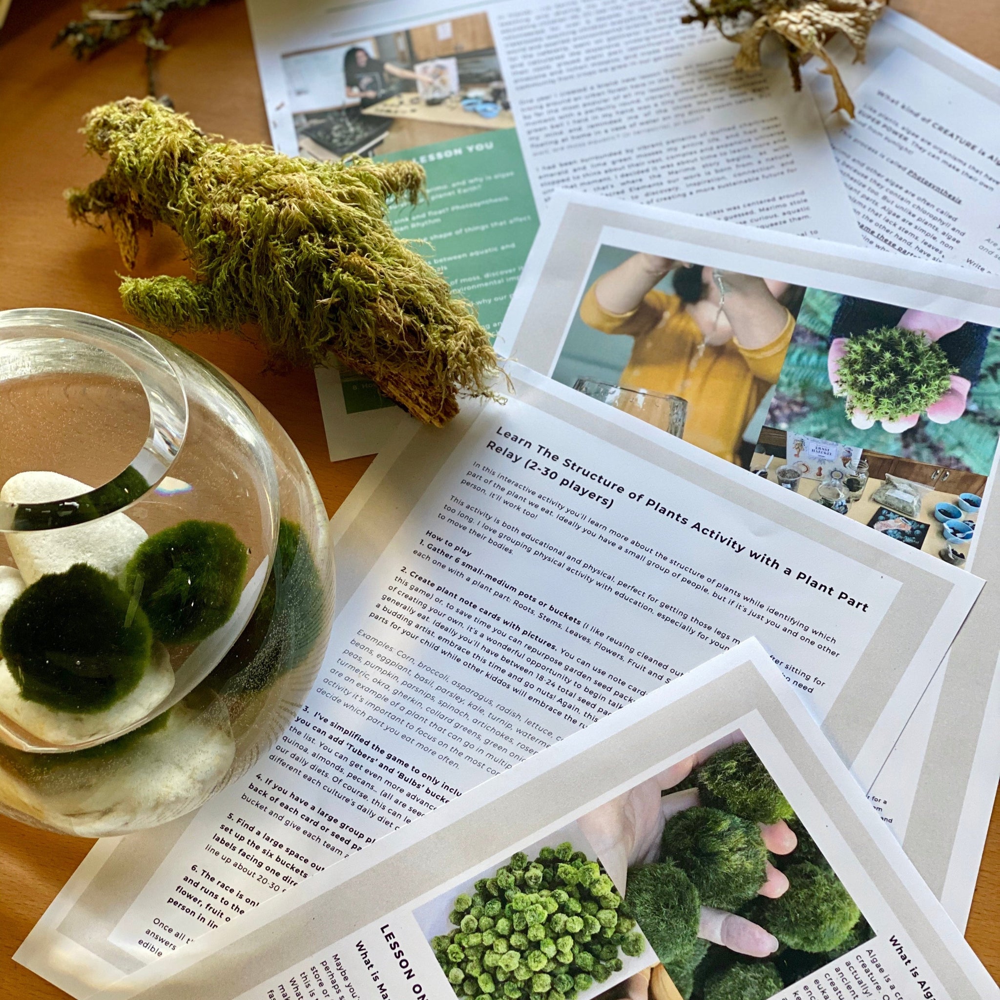 Marimo – Sacred Elements