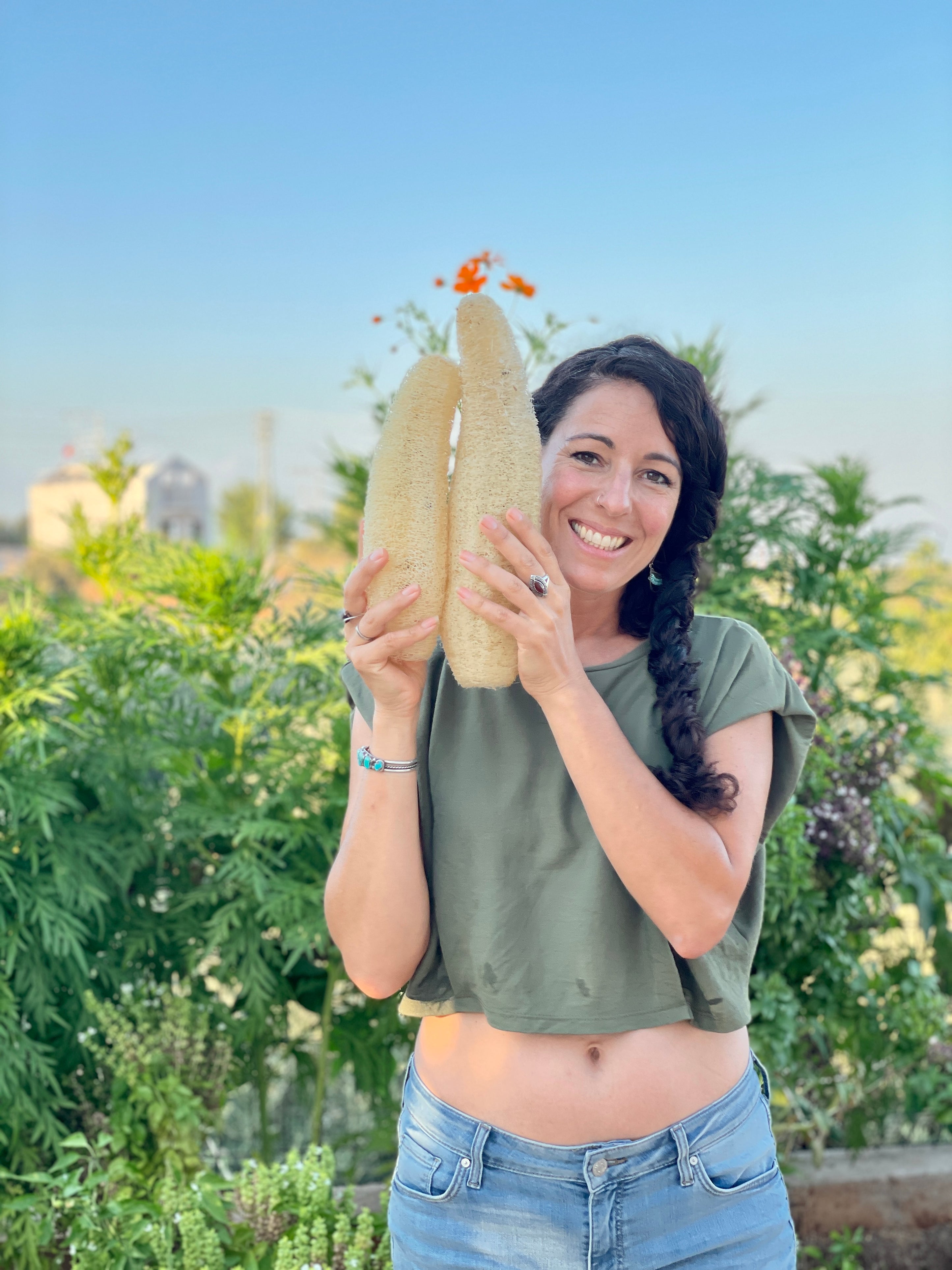 Luffa (Loofah) Sponge Gourd Seeds – Sacred Elements