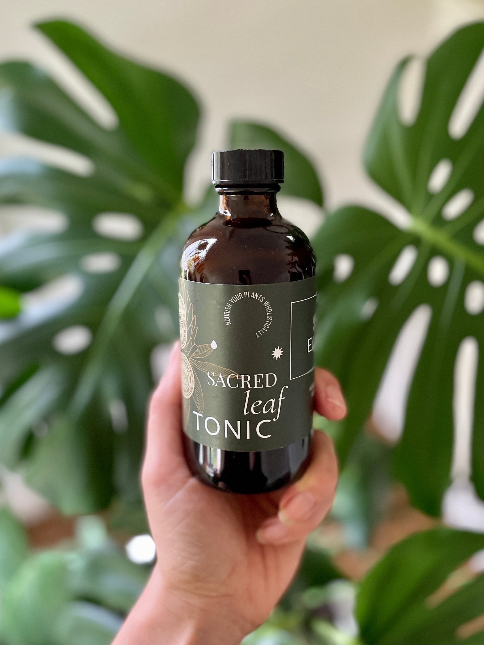 Sacred Leaf Tonic – Sacred Elements